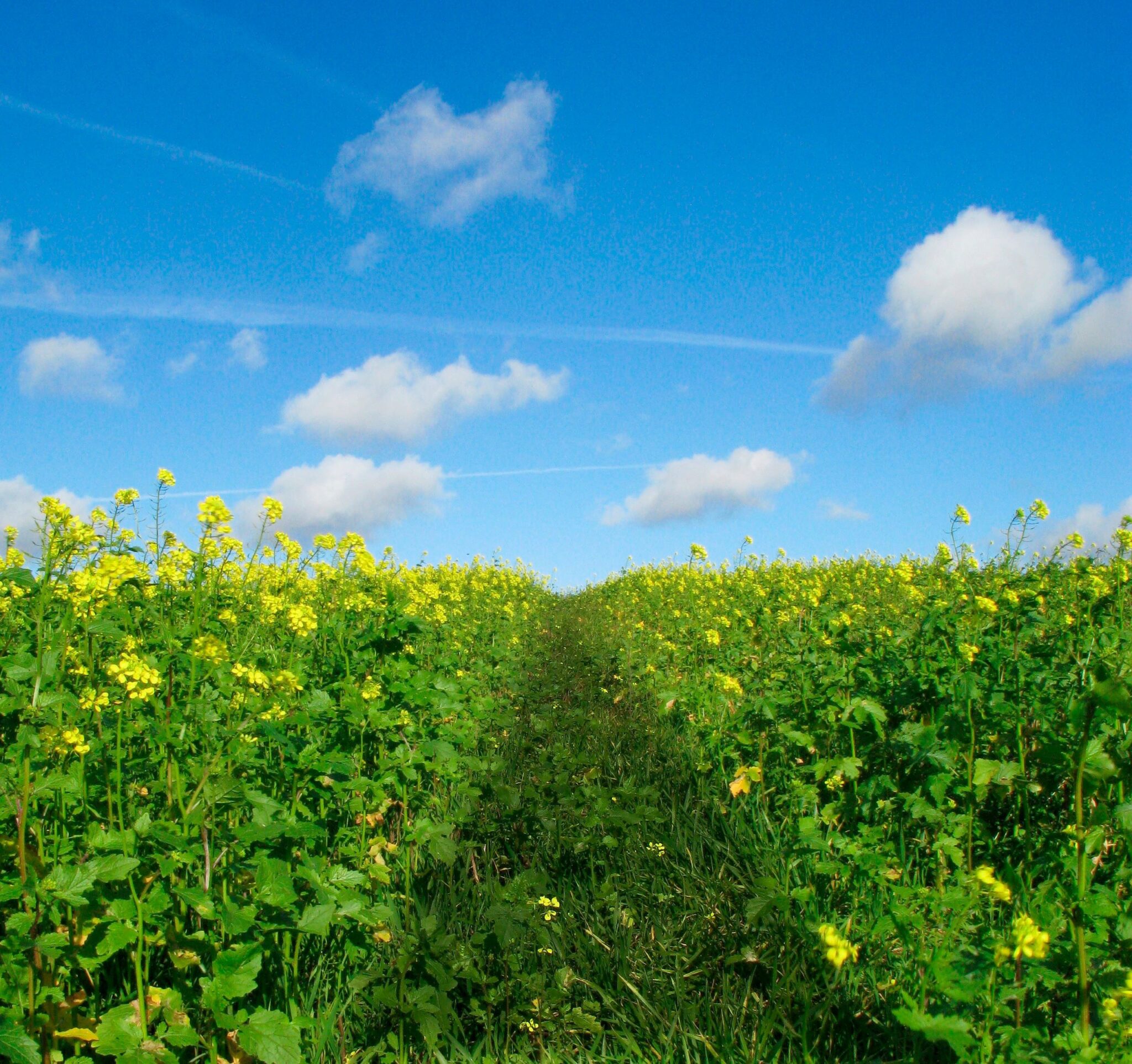 Bornholm Weather & Climate - Wedding on the Rocks